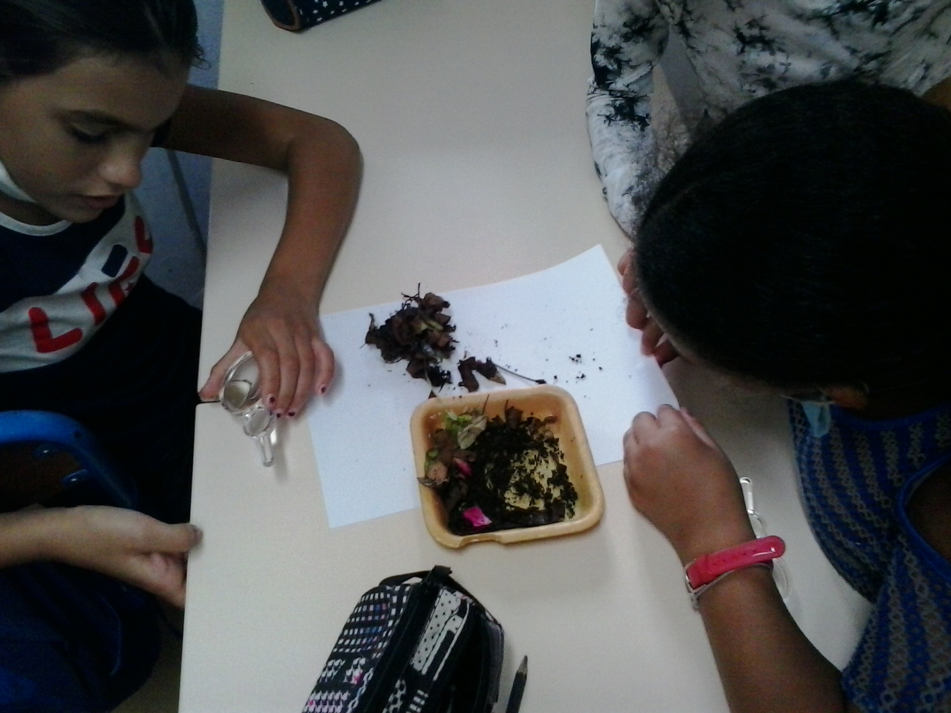 Des décomposeurs à l’école des Camélias ! | Blog Lékol’O – Valorisons ...