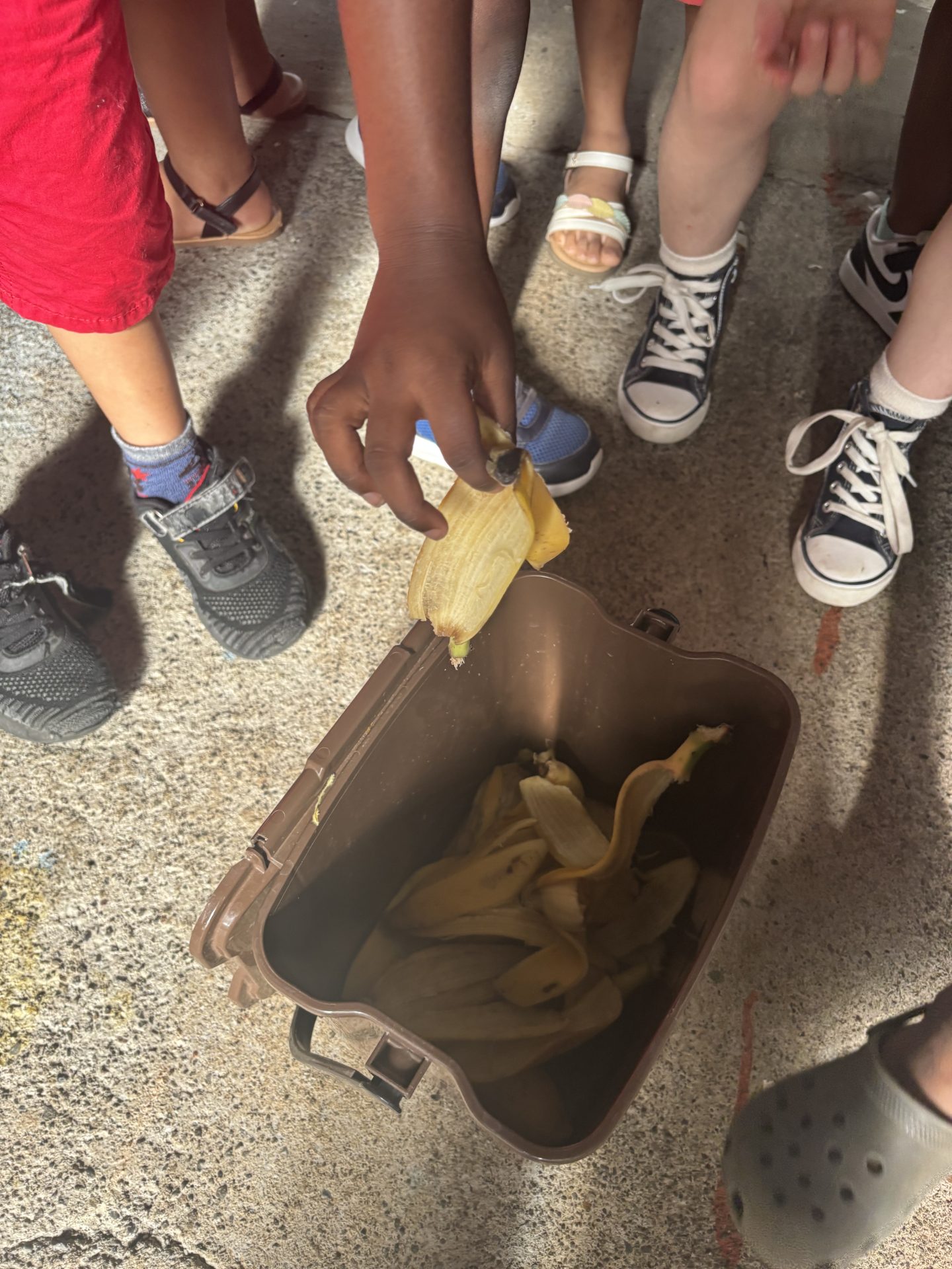 Compostage desépluchures des fruits du goûter en PS-MS | Blog Lékol’O ...