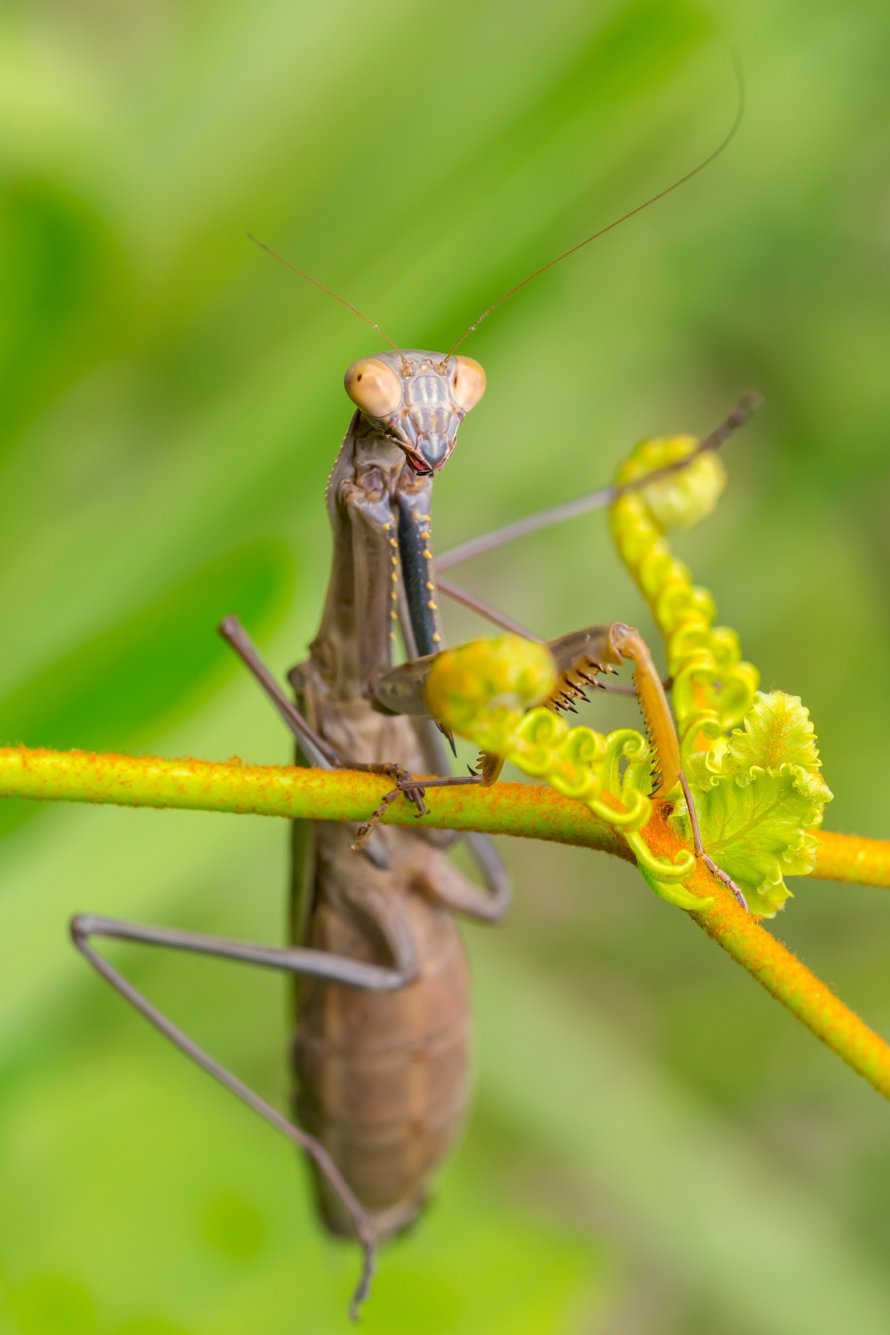 Découvrez les lauréats du concours photos « Les zones humides de La ...