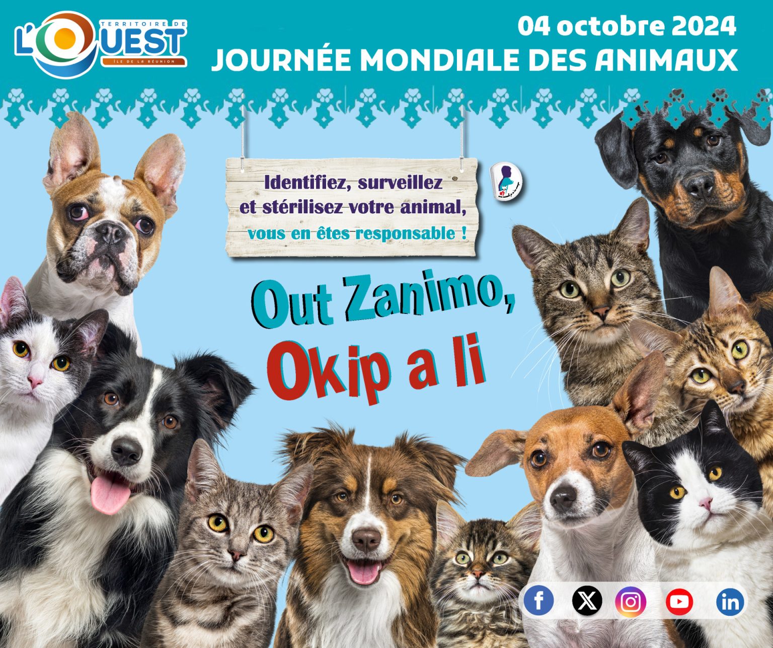 Journée mondiale des animaux 2024 : Ensemble, agissons pour le bien ...